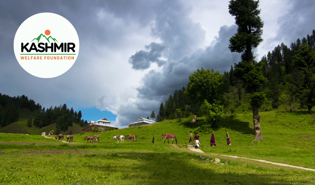 Neelum Valley Travel Guide: Explore Tourism in Azad Kashmir’s Hidden ...