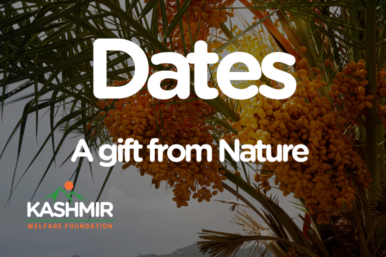 The Sweet Gift of Nature: A Journey Through Dates - Kashmir Welfare ...