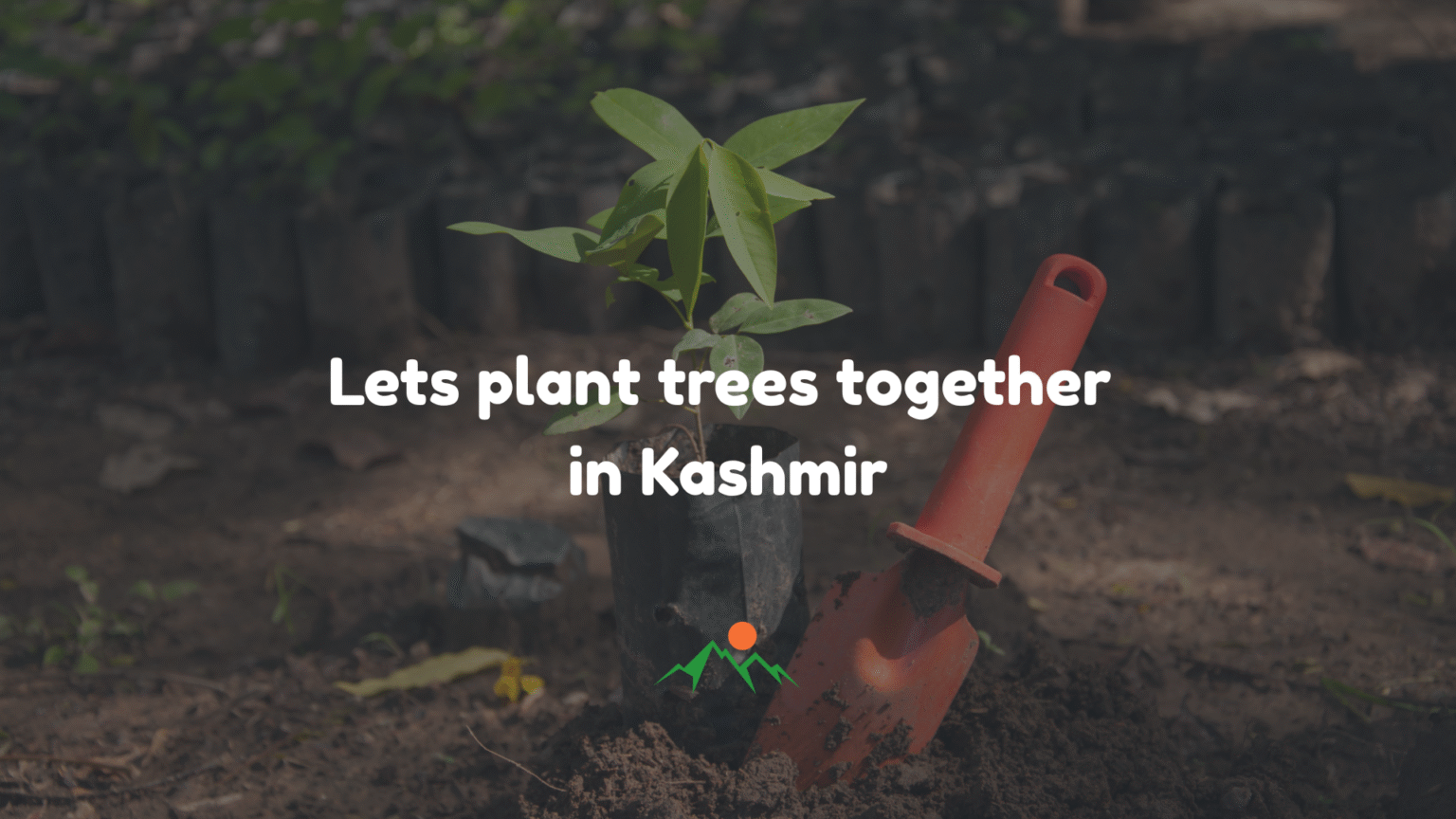 How Tree Planting Can Heal the Heart of Azad Kashmir - Kashmir Welfare ...